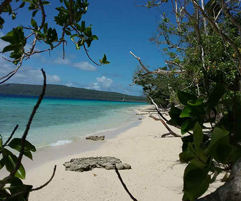 Port Vila & Shefa Province Book Me Vanuatu